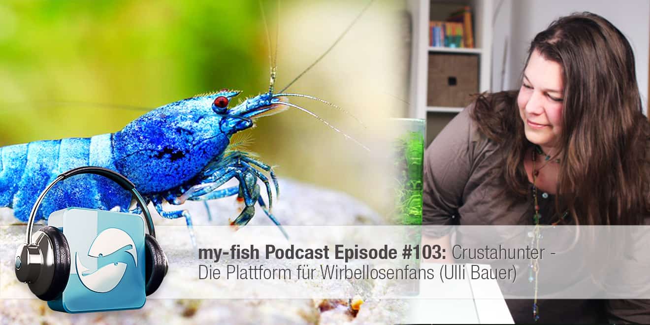 Podcast Episode #103: Crustahunter - Die Plattform für Wirbellosenfans ...
