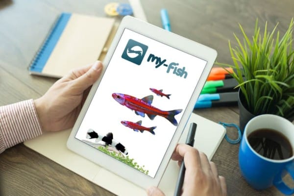 my-fish Aus Freude an der Aquaristik