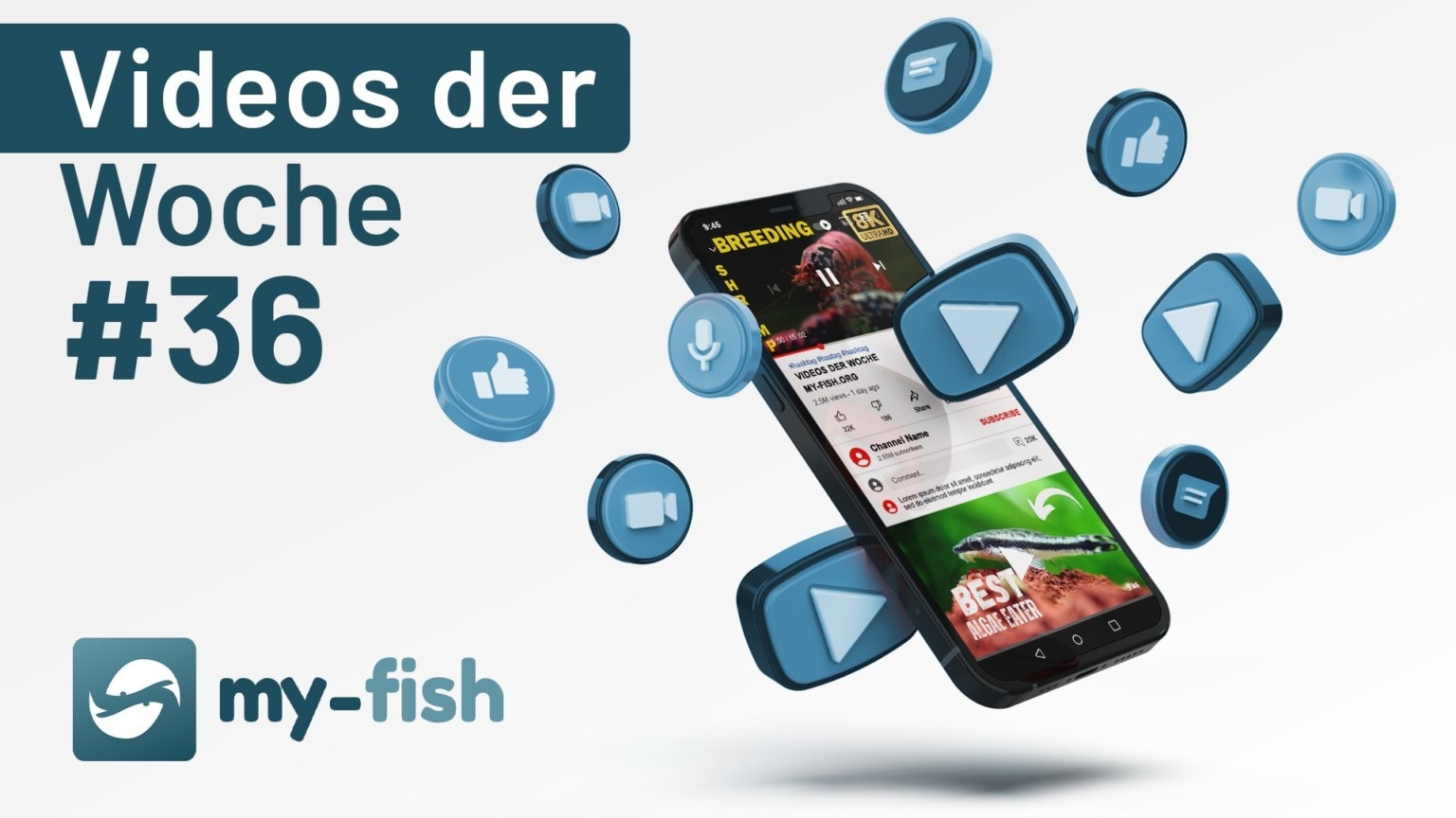 Videos der Woche - Vol.36