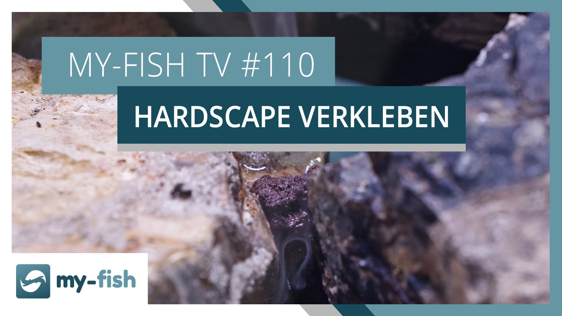 my-fish TV #110: Hardscape fest miteinander verkleben mit diesem Trick