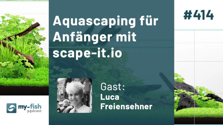 Aquascaping für Anfänger mit scape-it.io – Das Online-Tool für beeindruckendes Aquascaping mit ...