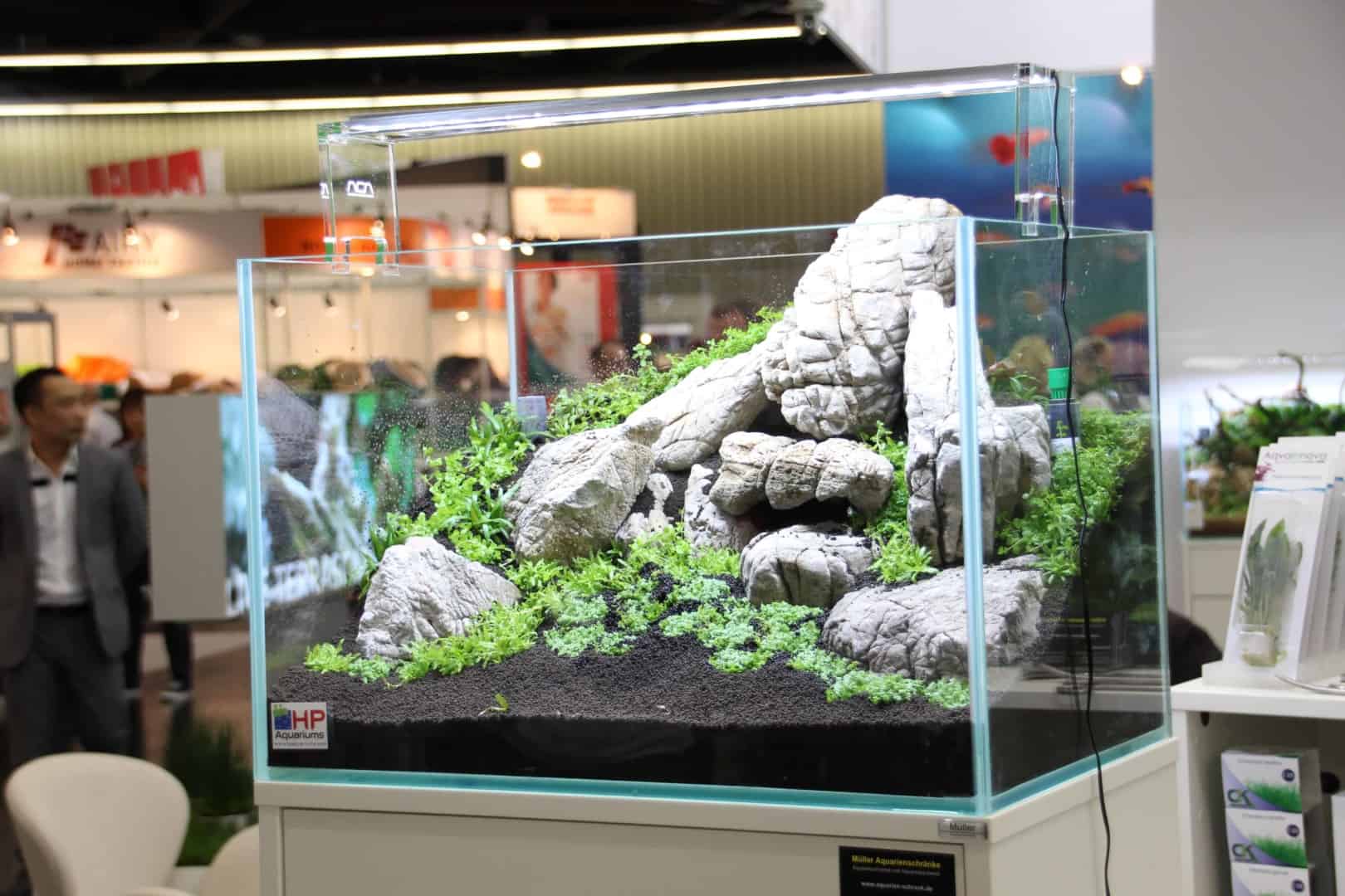 Linea Zero - Time for a revolution - Freestyle Aquascaping mit Oliver ...