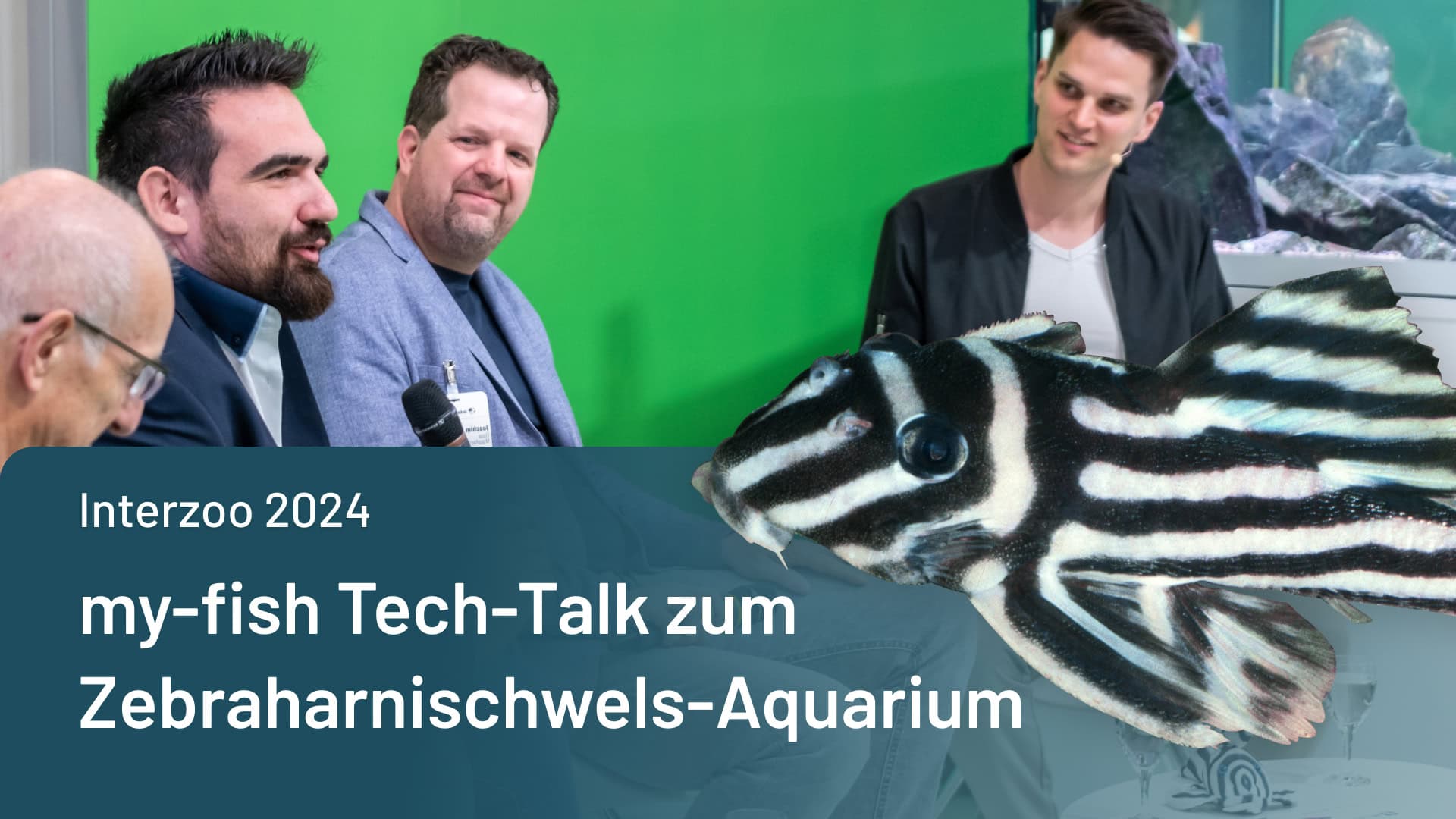 my-fish Tech Talk zum Zebraharnischwels-Aquarium – Interzoo 2024 - my ...